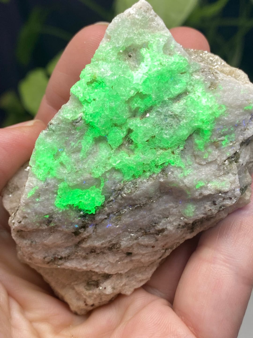 North Carolina Chalk Mountain UV Reactive Hyalite Opal - Etsy