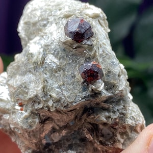 North Carolina Almadine Garnet in Mica - Etsy