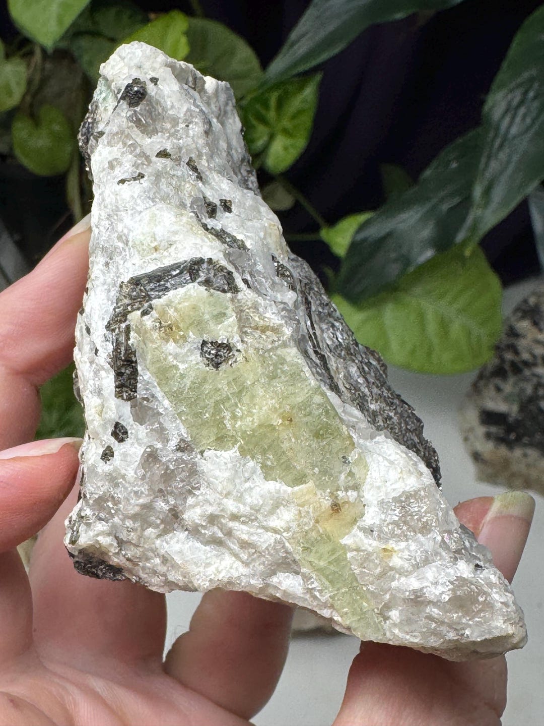 Green Beryl and Emerald in Quartz and Biotite~north Carolina Crabtree ...