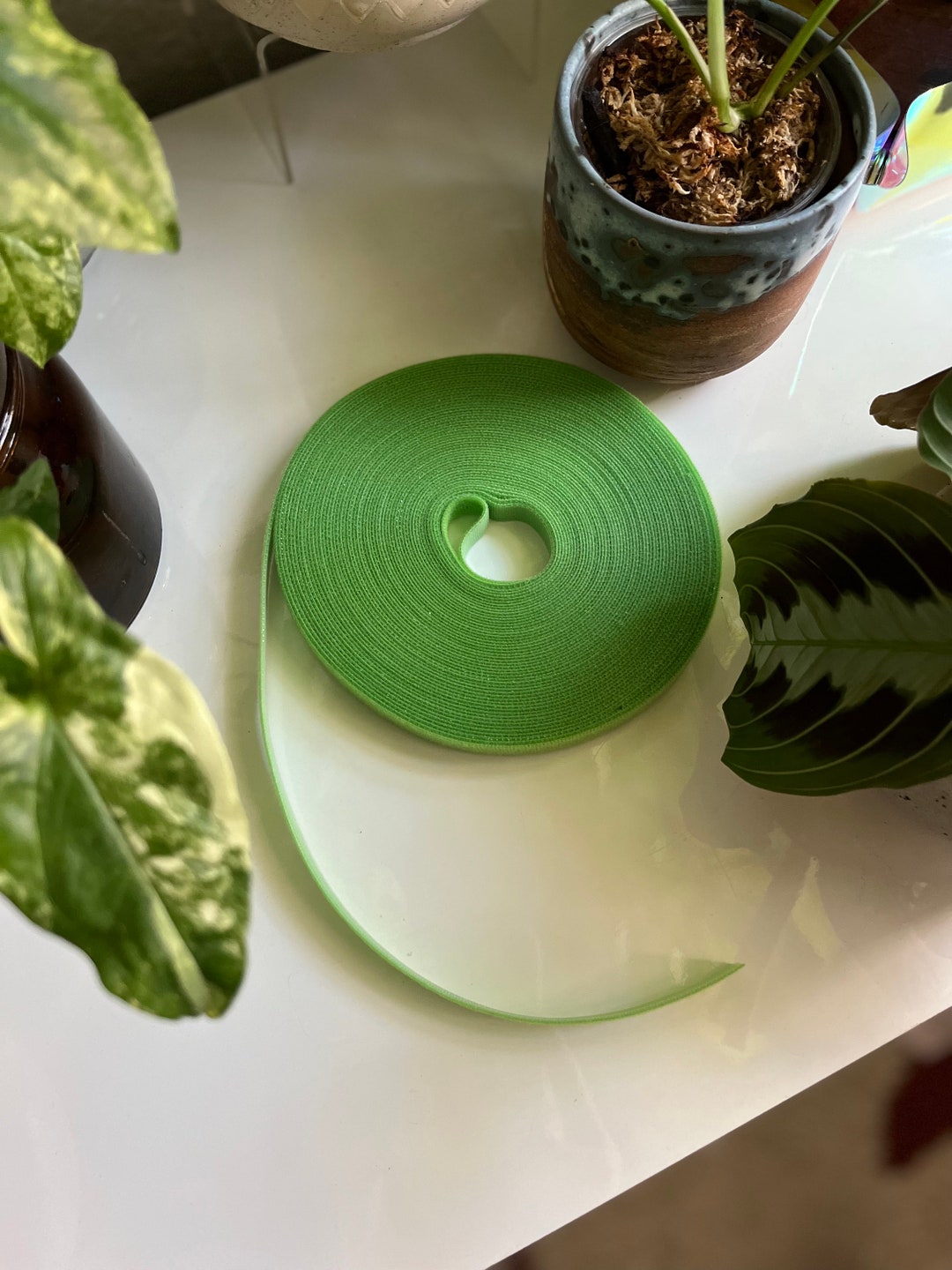 Plant Velcro | Plant Tape | Plant Ties - Etsy