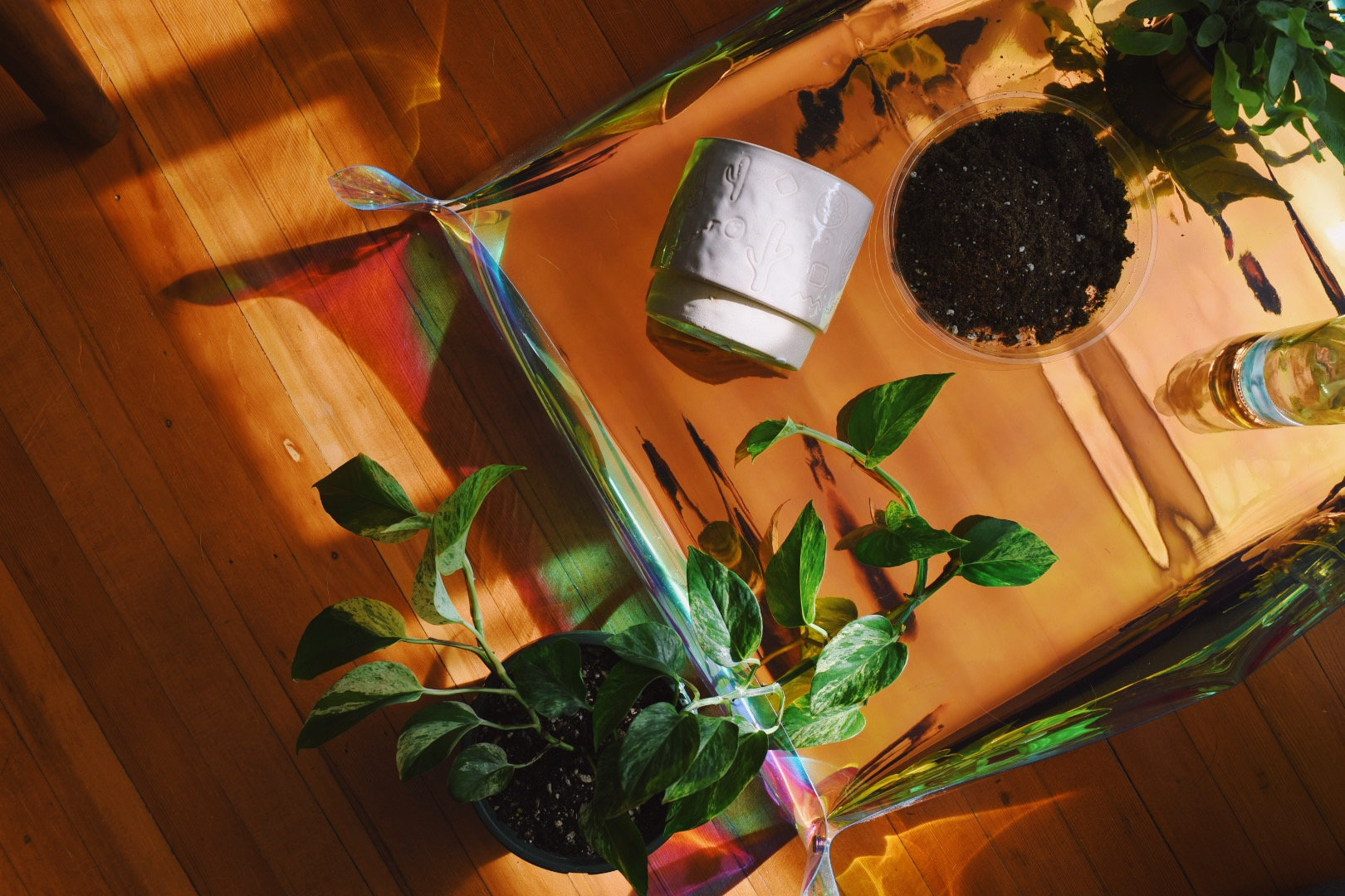 Iridescent/holographic Potting Tarp Repotting Tarp Potting - Etsy