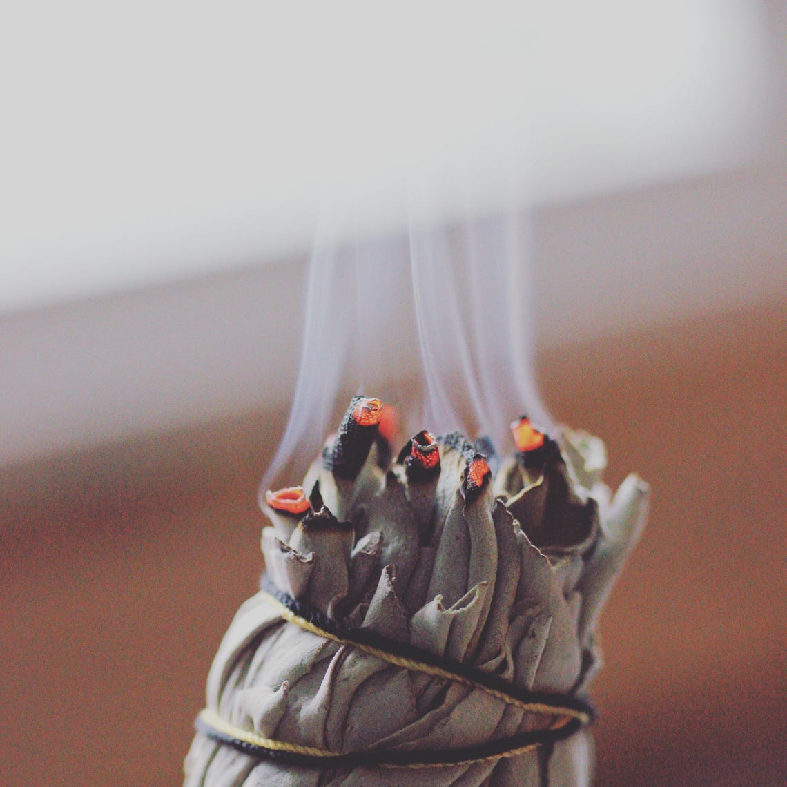 Smudging Instructions, How to Smudge, Sage Home, House Cleansing ...