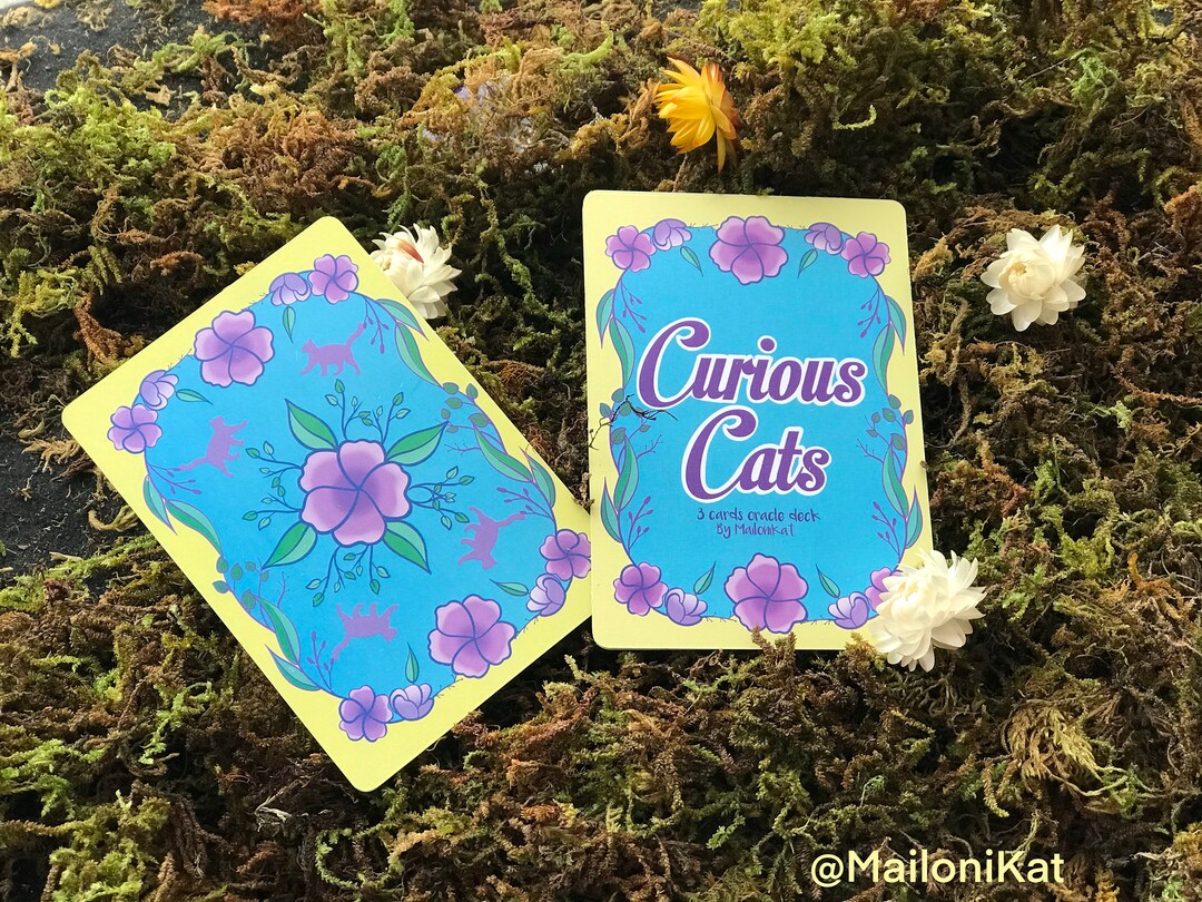 Curious Cats Three Card Oracle Deck - Etsy