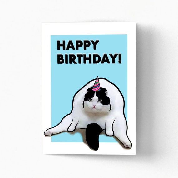 Angry Cat Meme Birthday