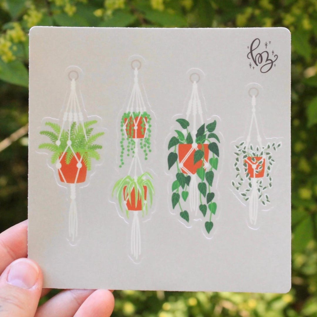 Hanging Plants Vinyl Sticker Sheet - Etsy