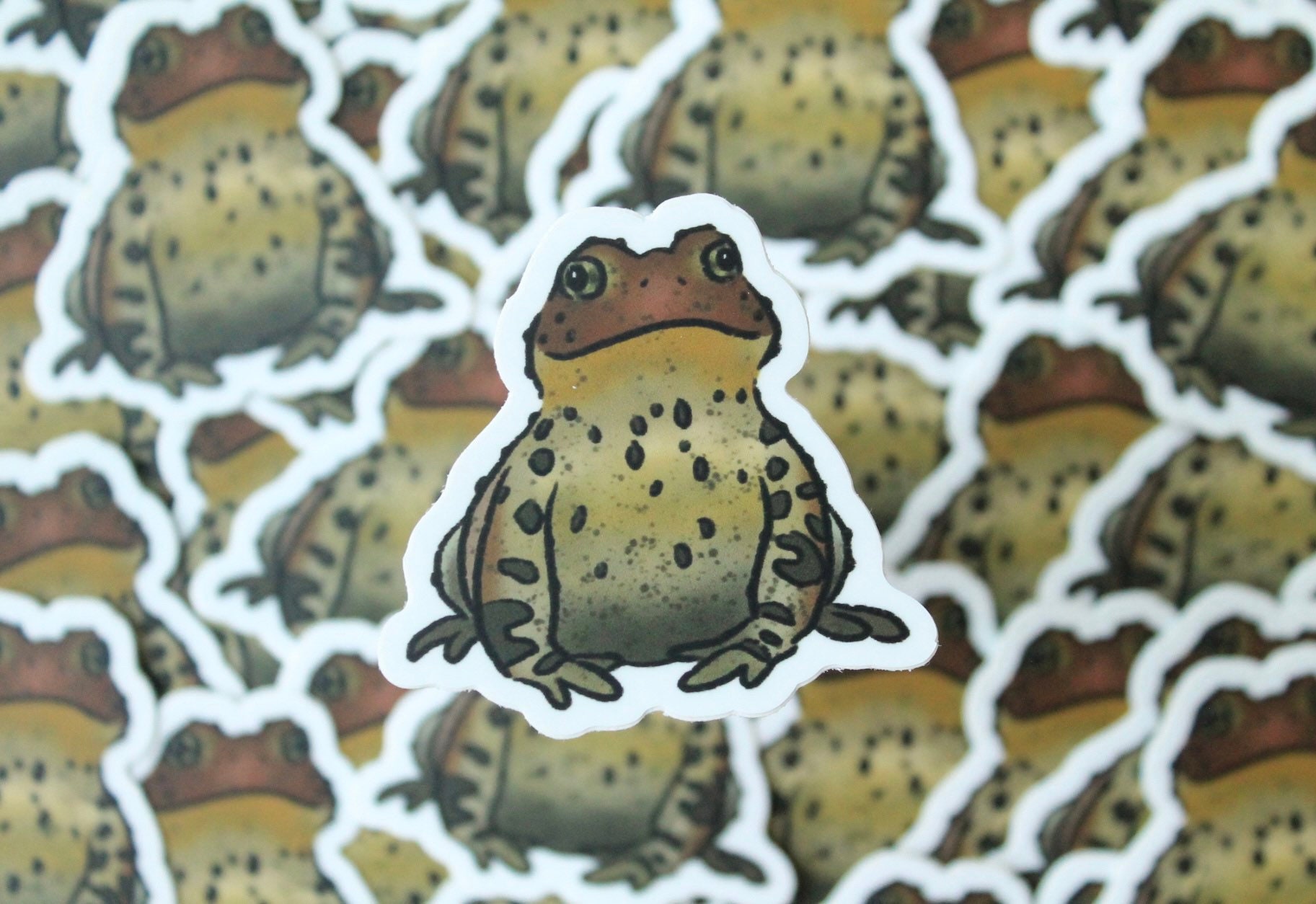 Tiny Toad Vinyl Sticker - Etsy