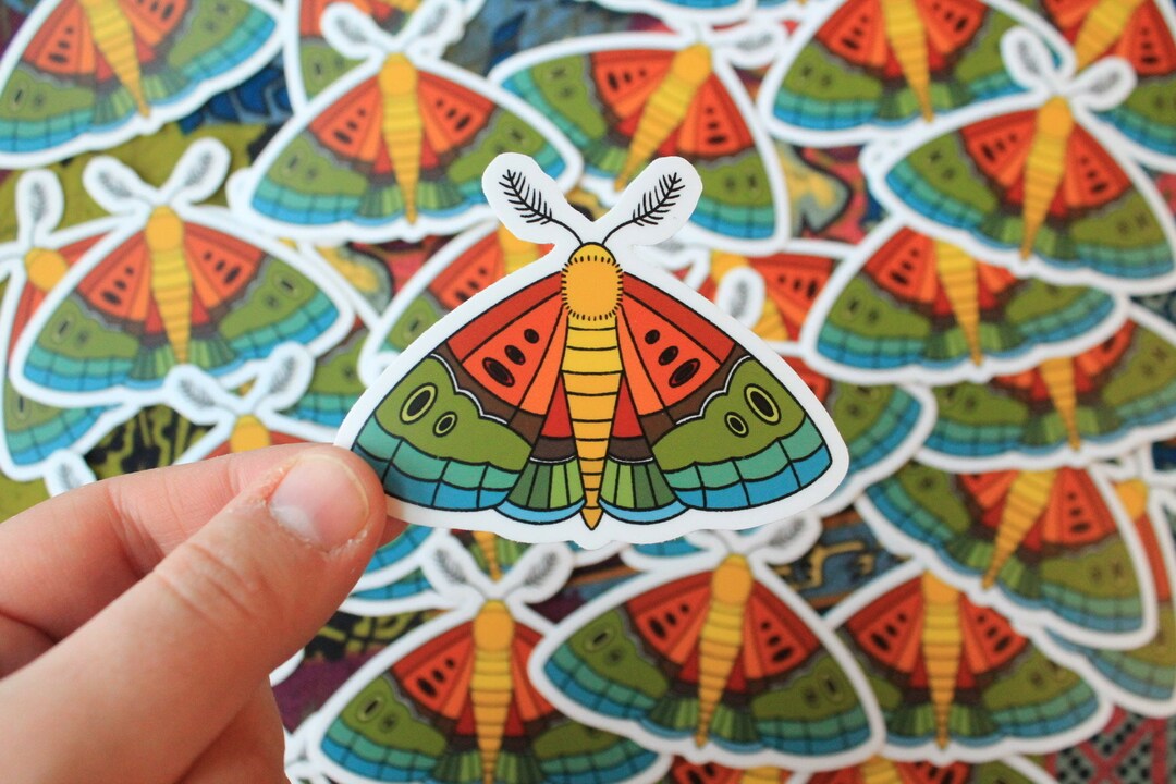 Rainbow Moth Vinyl Sticker - Etsy