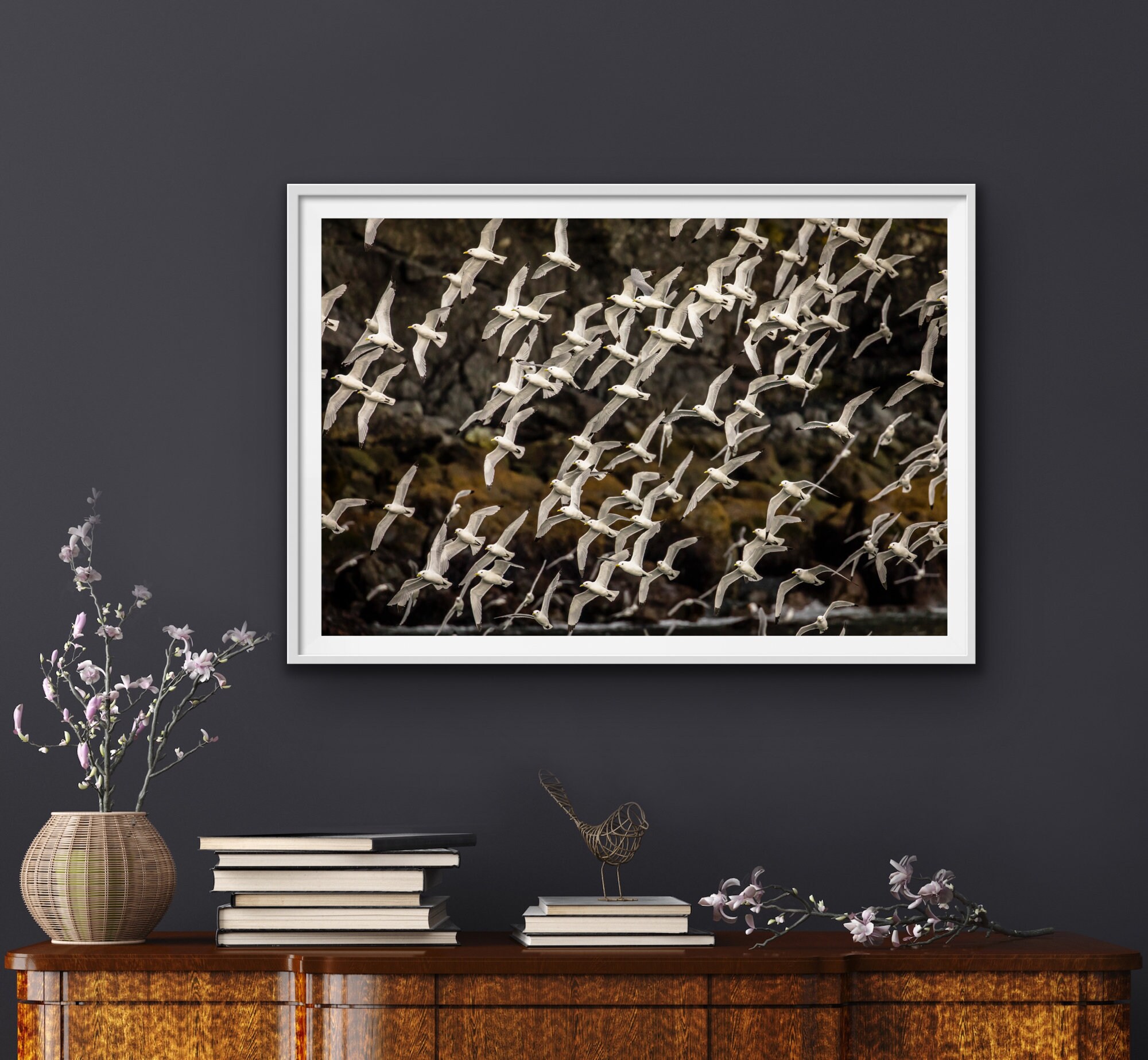 Albatross Flock Flying in Kenai Fjords, Alaska, Black and White or ...