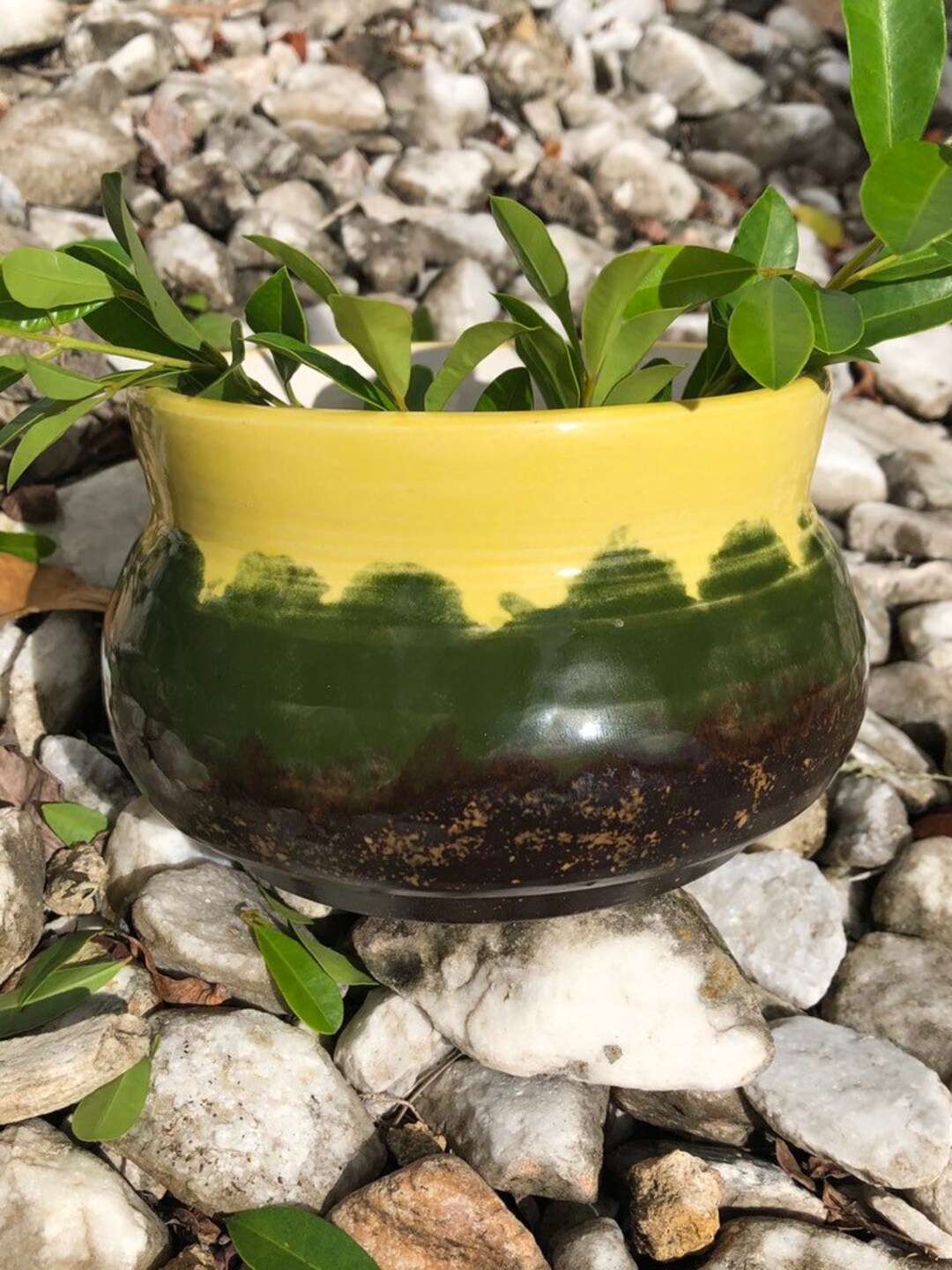 Forest Green Bowl - Etsy