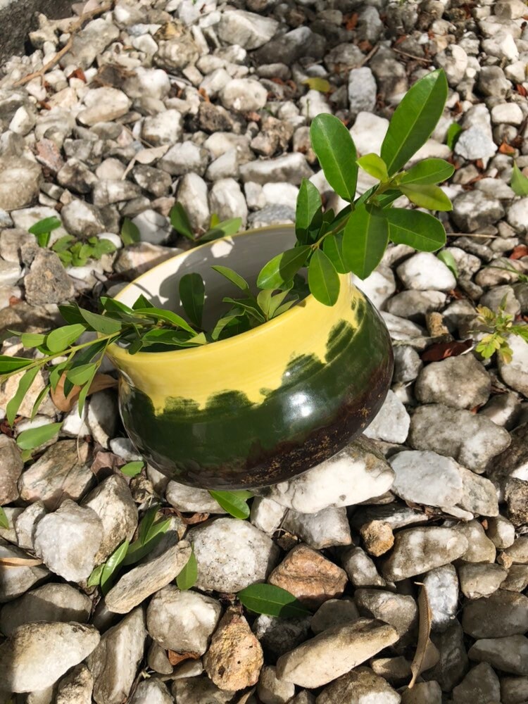 Forest Green Bowl - Etsy