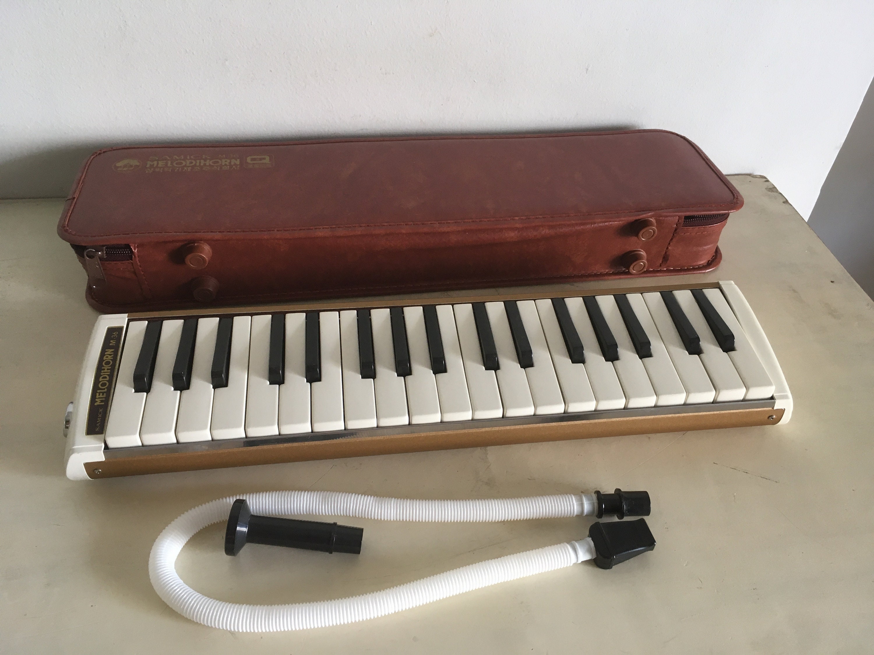 Vintage HOHNER Melodica popular Piano