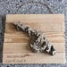 Custom Laser Cut Topographical Map - Etsy
