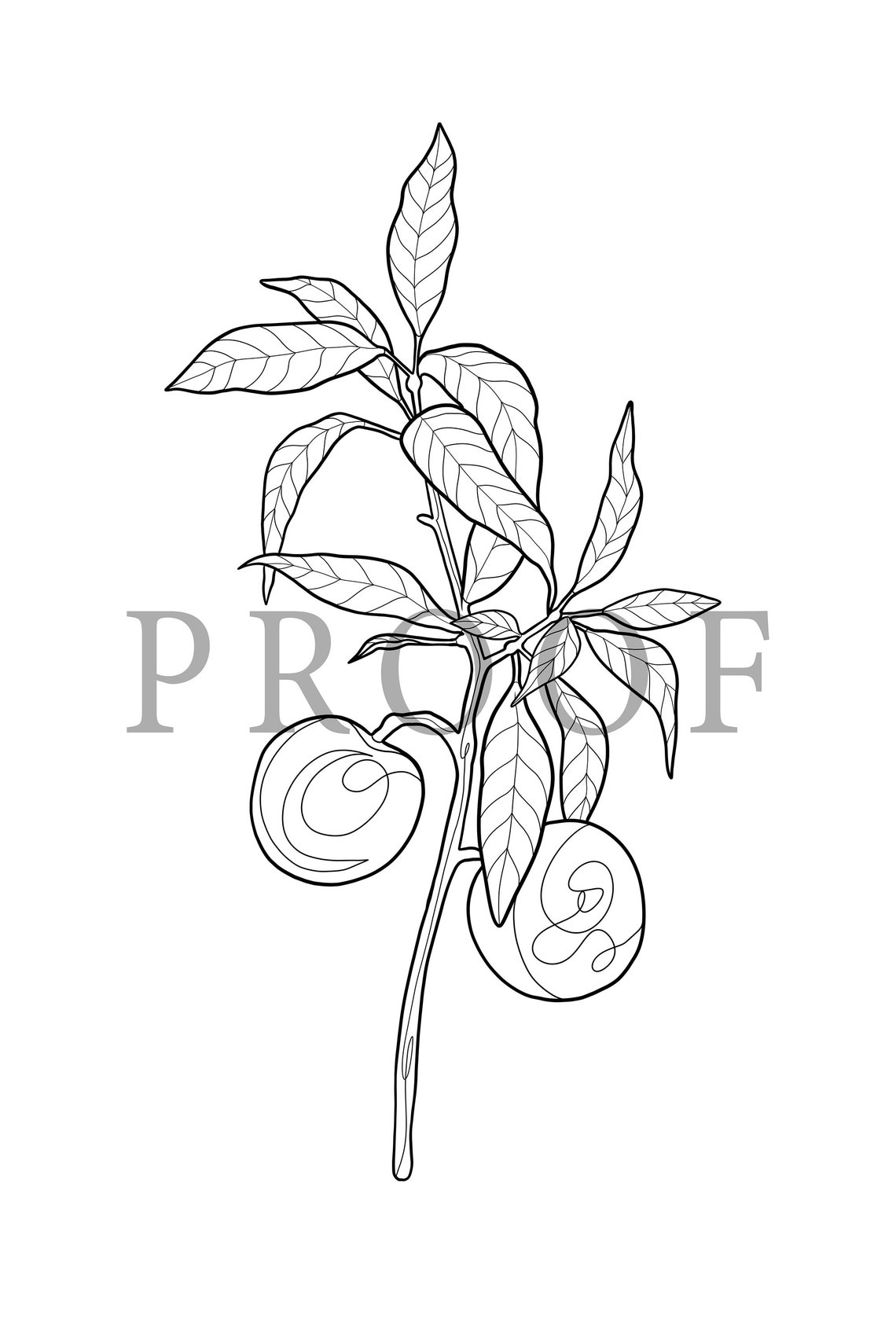 Peaches Line Drawing, Peach Print, Continuous Line Drawing, Minimal ...
