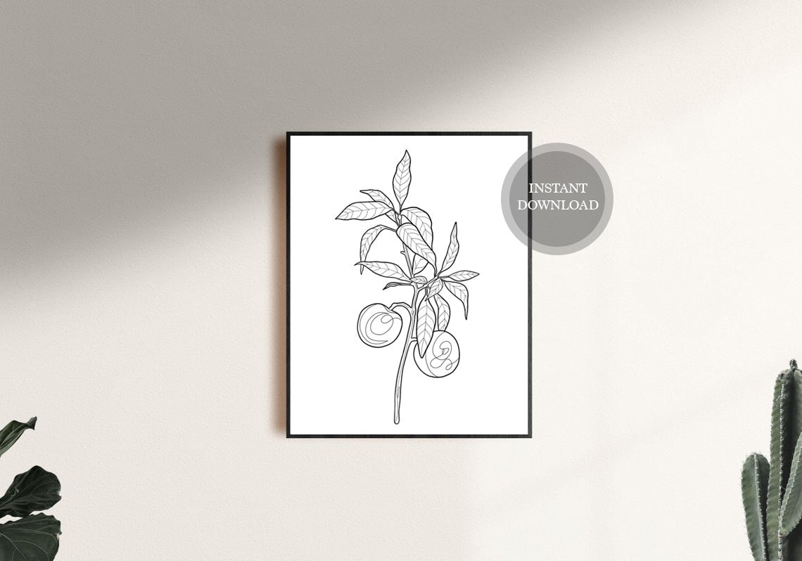Peaches Line Drawing, Peach Print, Continuous Line Drawing, Minimal ...