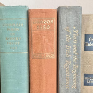 Set of 10 Vintage Earthtone & Turquoise Antique Hardcover Books ...