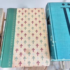 Set of 10 Vintage Earthtone & Turquoise Antique Hardcover Books ...