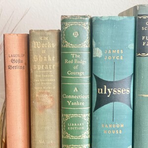 Set of 10 Vintage Earthtone & Turquoise Antique Hardcover Books ...