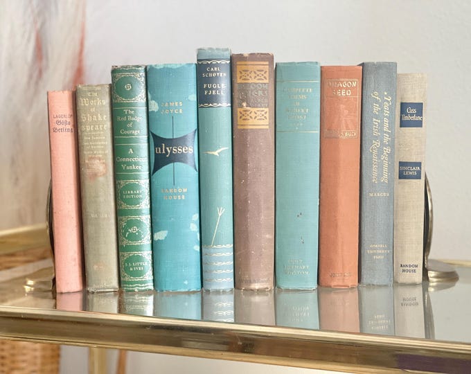 Set of 10 Vintage Earthtone & Turquoise Antique Hardcover Books ...