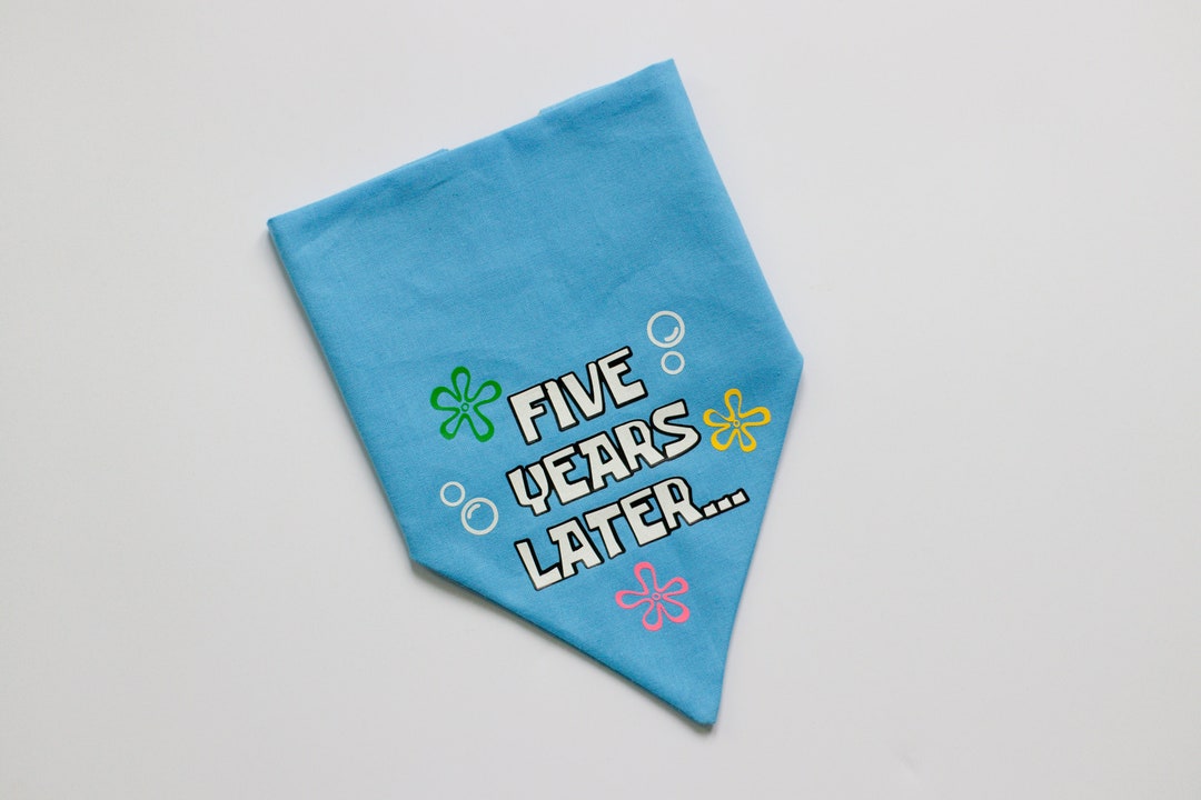 Personalised Years Later Spongebob Birthday Dog & Cat Bandana - Etsy