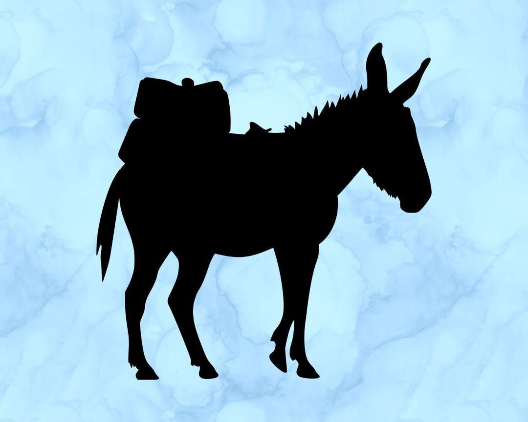 Donkey Decal - Etsy
