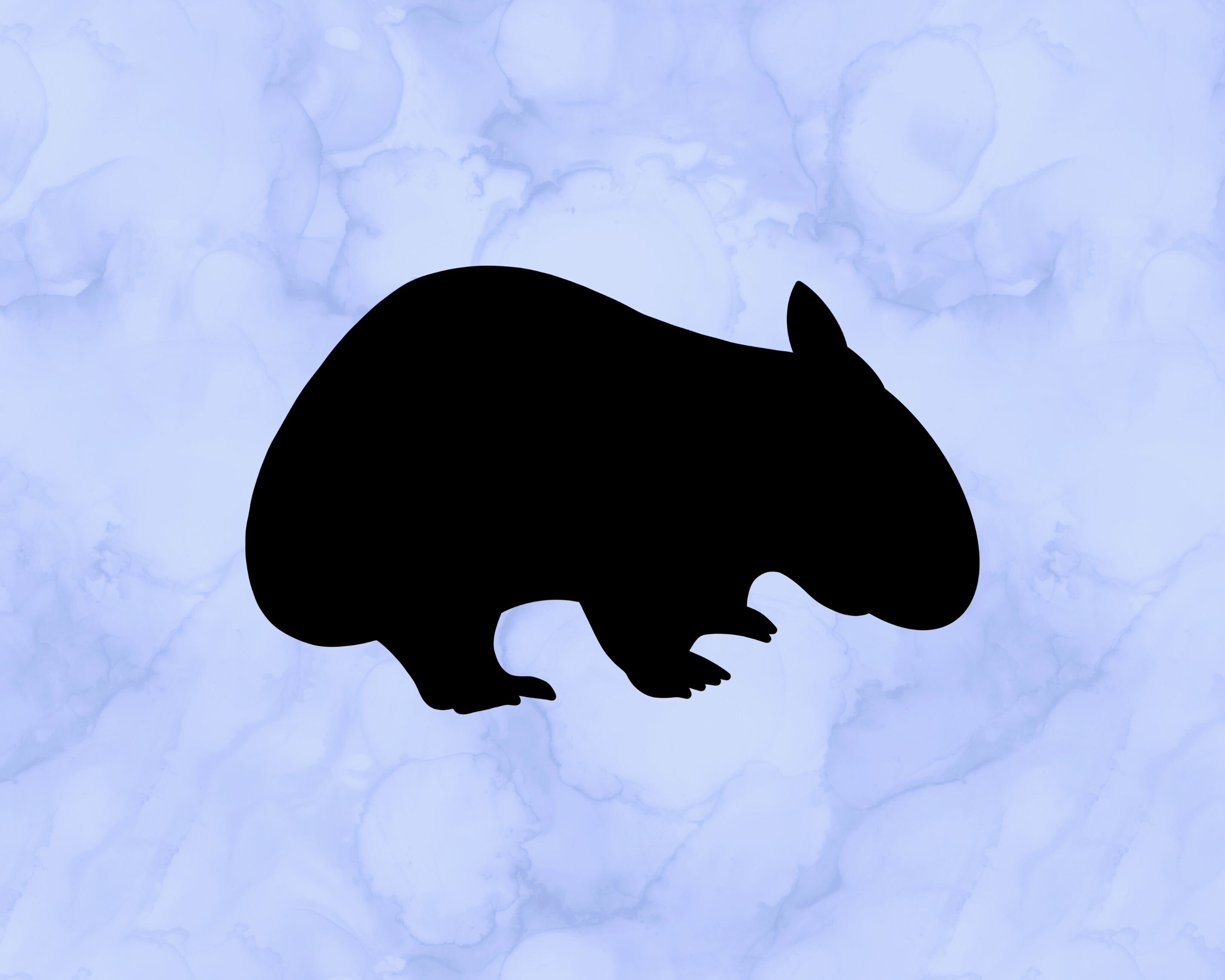 Wombat Decal - Etsy