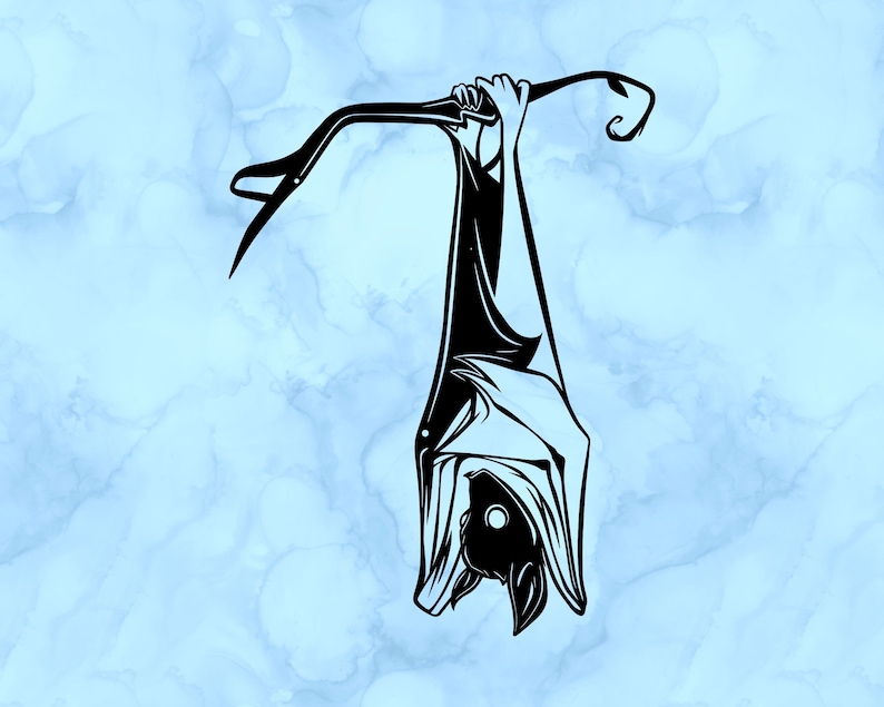 Bat Decal - Etsy