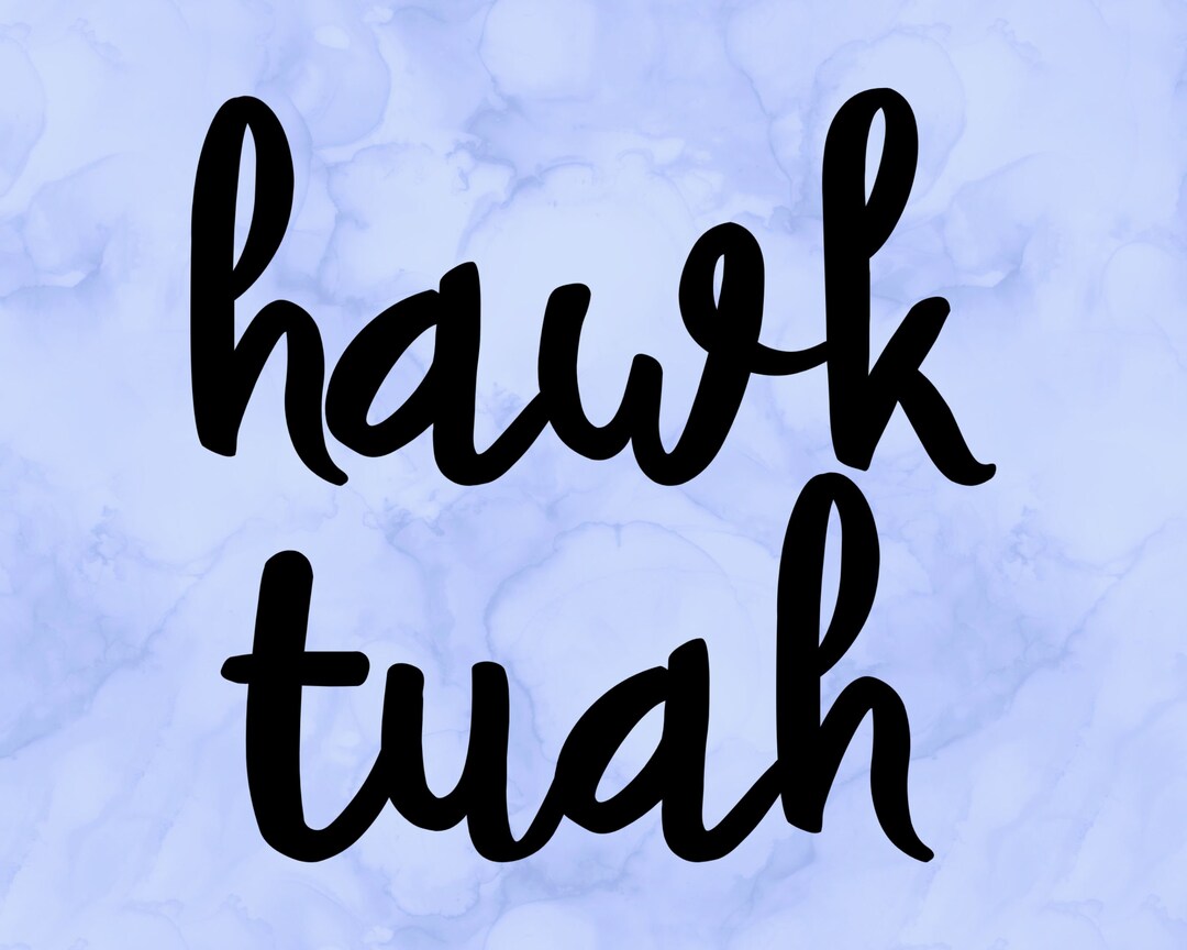 Hawk Tuah Decal - Etsy