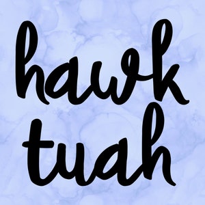 Hawk Tuah Decal - Etsy