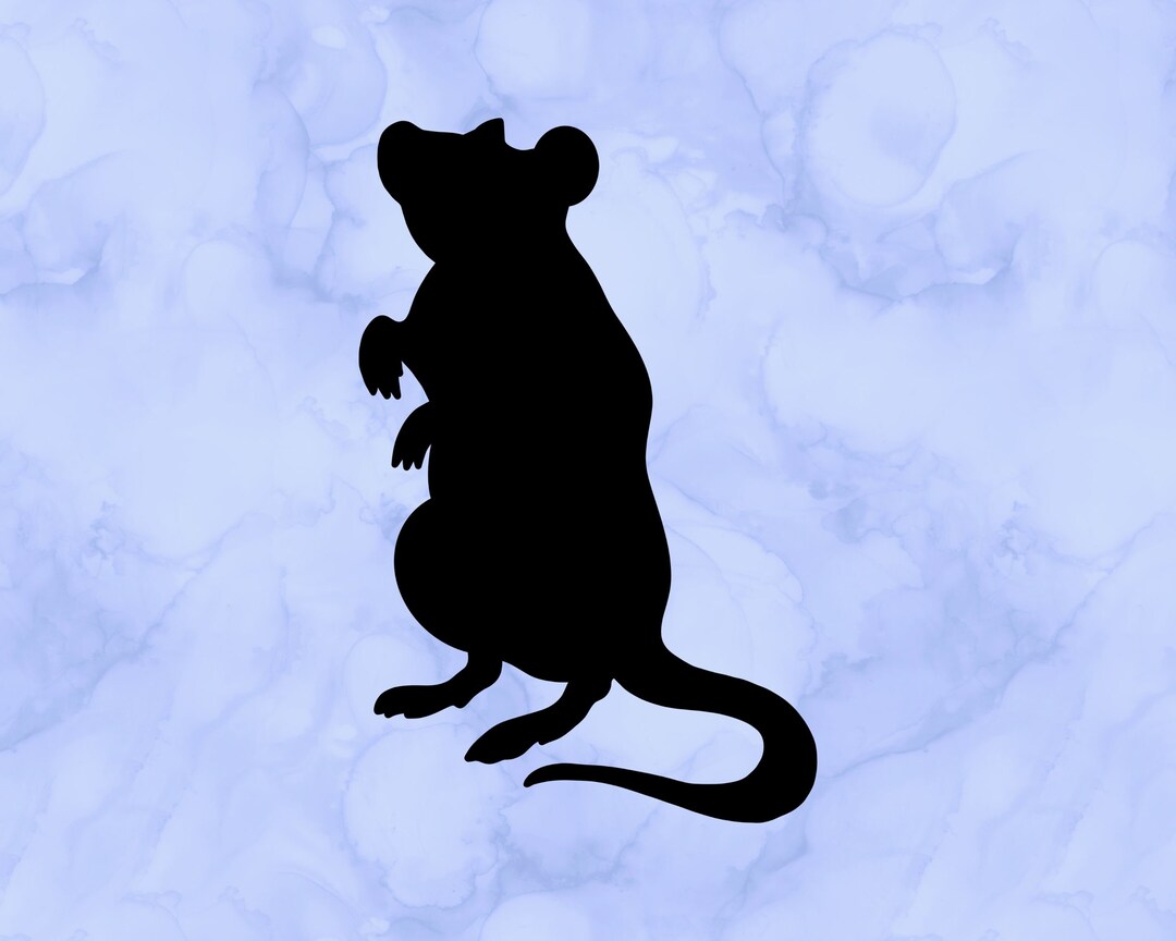 Rat Decal - Etsy