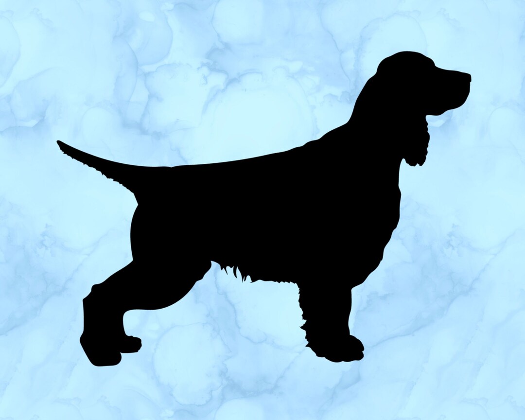 English Springer Spaniel Decal - Etsy