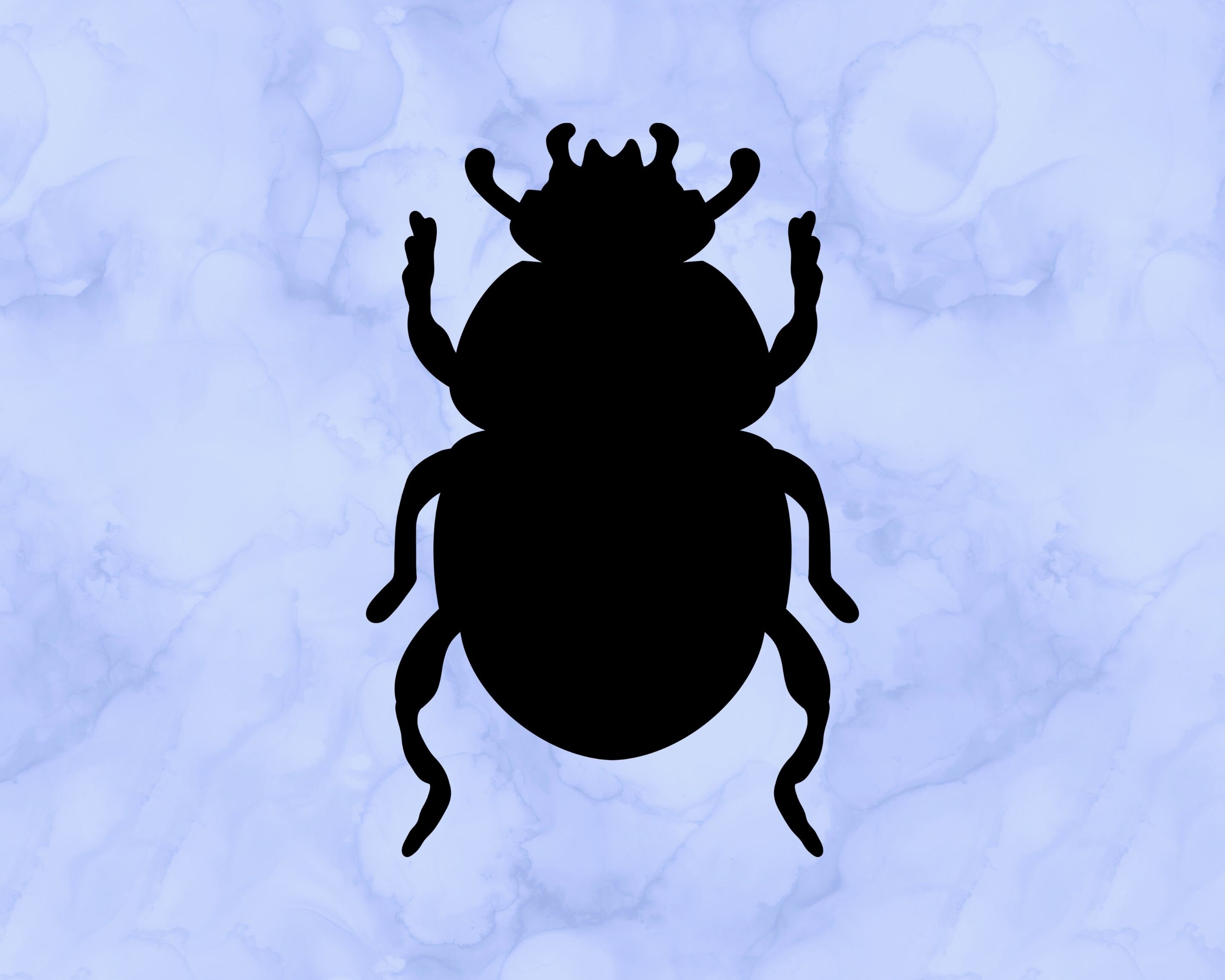 Beetle Decal - Etsy