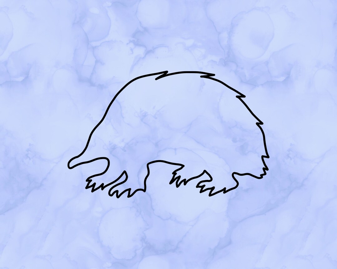 Echidna Outline Decal - Etsy
