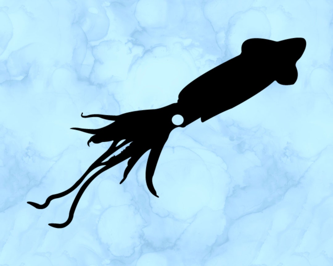 Squid Decal - Etsy