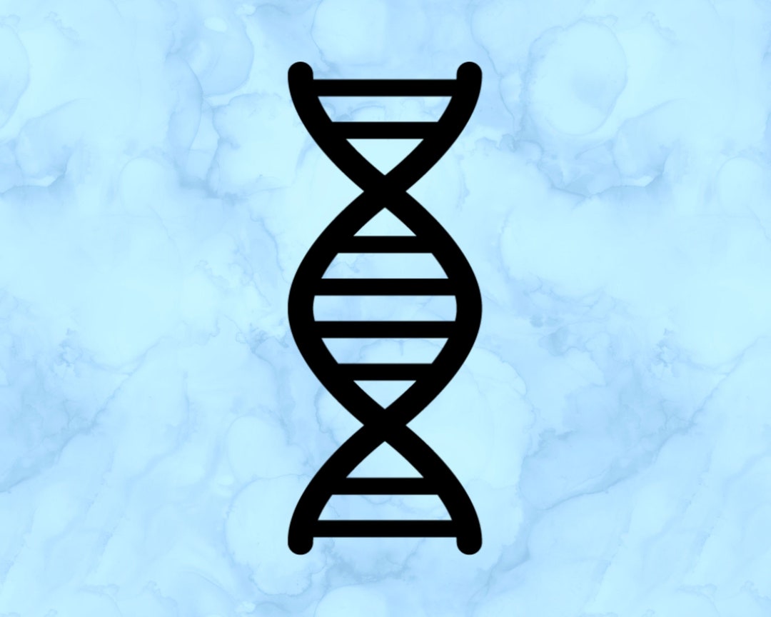 DNA Decal - Etsy