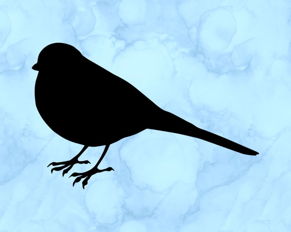 Bird Decal - Etsy