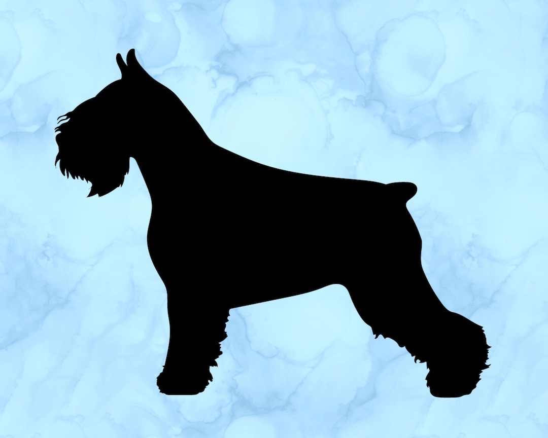 Miniature Schnauzer Decal - Etsy