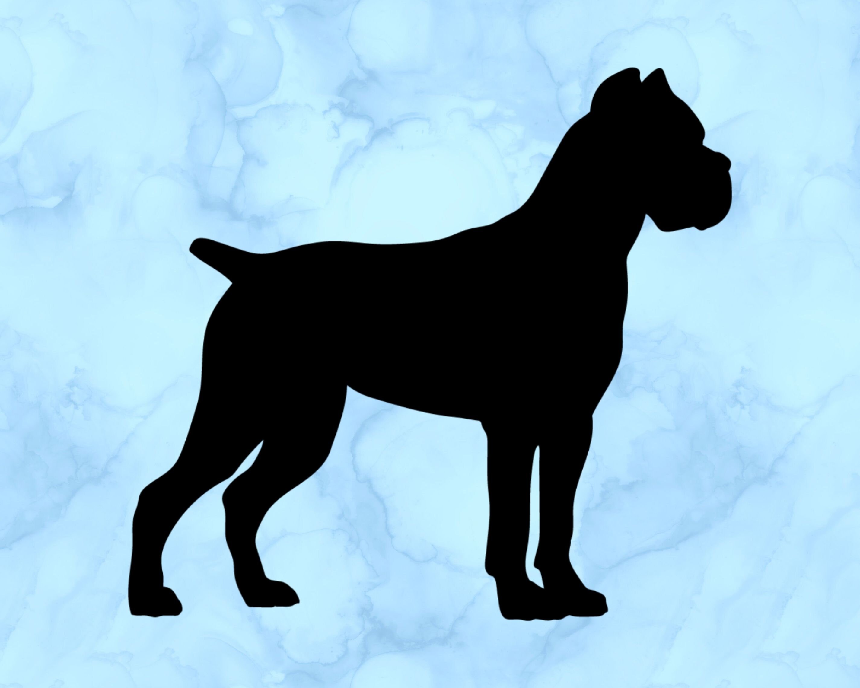 Cane Corso Decal - Etsy