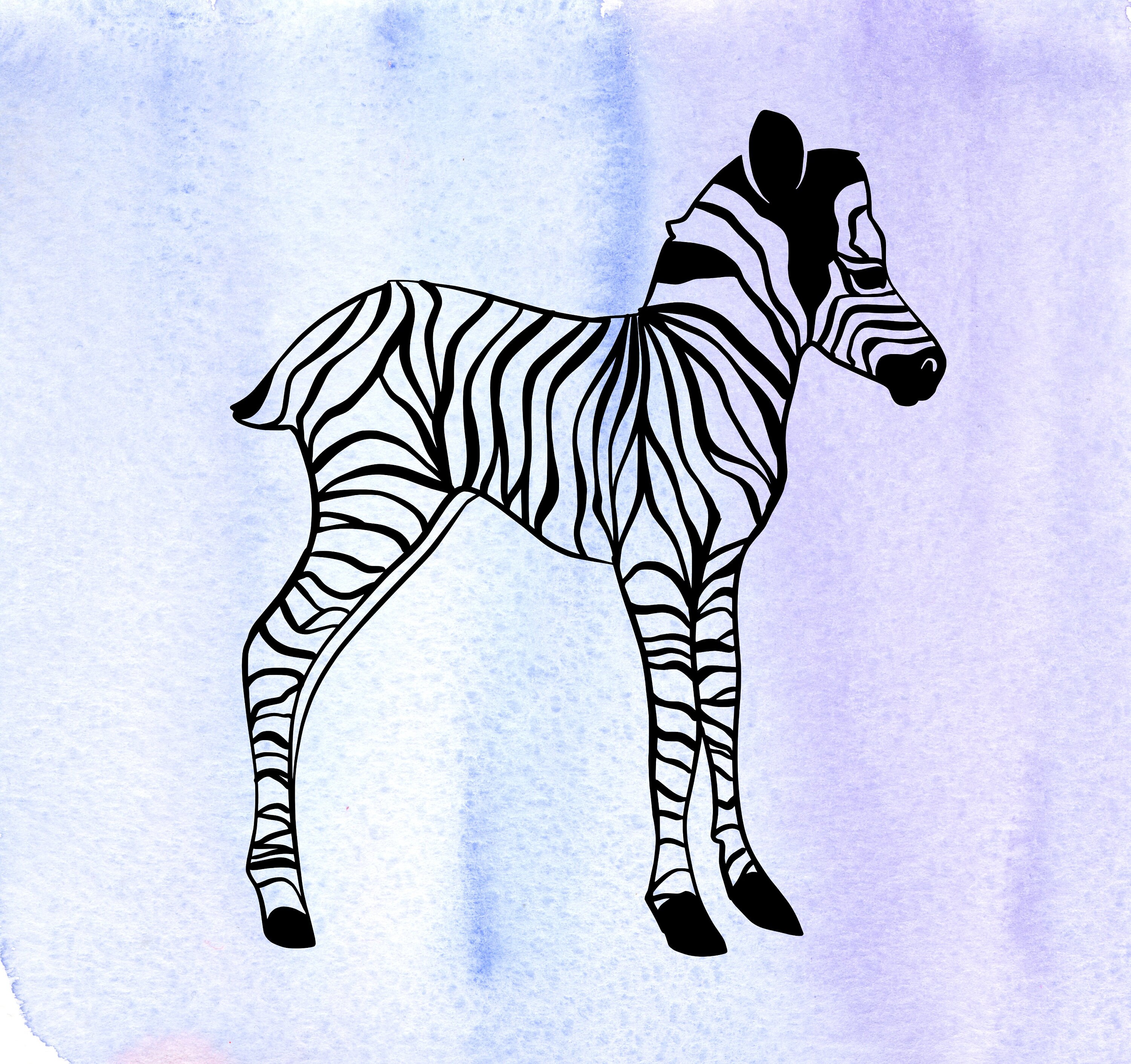 Zebra decal | Etsy