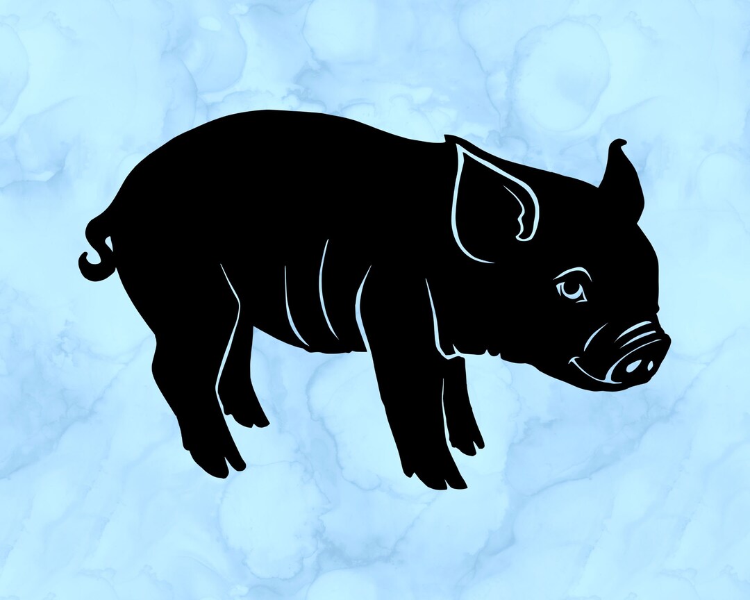 Pig Decal - Etsy