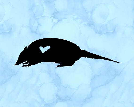 Armadillo Heart Decal - Etsy