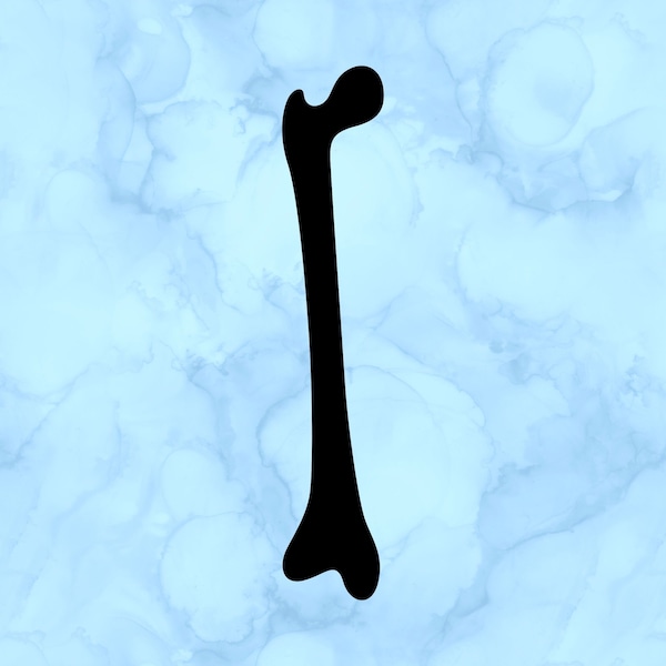 Bone Decal - Etsy