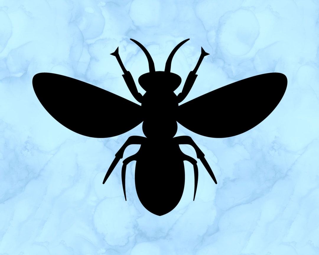 Bee Decal - Etsy