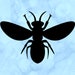Bee Decal - Etsy