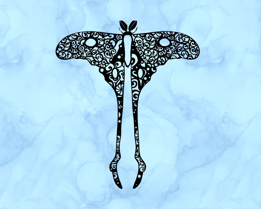 Comet Moth Zentangle Decal - Etsy