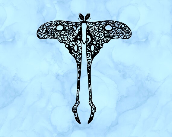 Comet Moth Zentangle Decal | Etsy