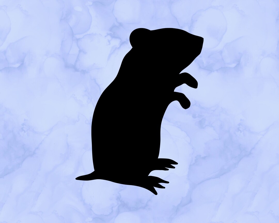 Gerbil Decal - Etsy