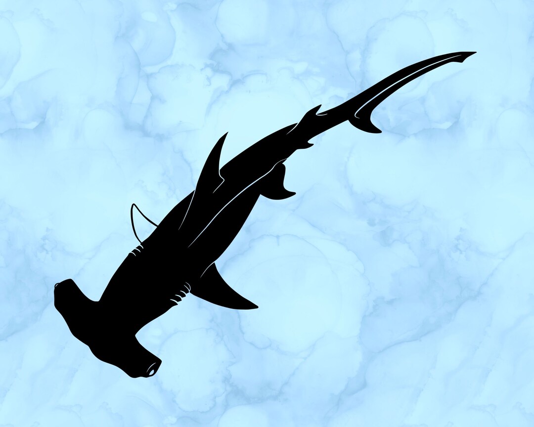 Hammerhead Shark Decal - Etsy