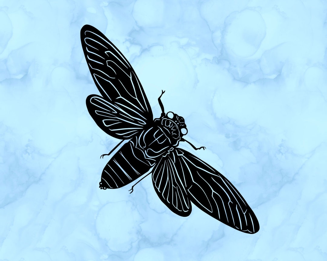Cicada Decal - Etsy