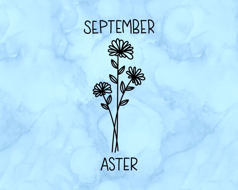 September Birth Flower Aster Decal - Etsy