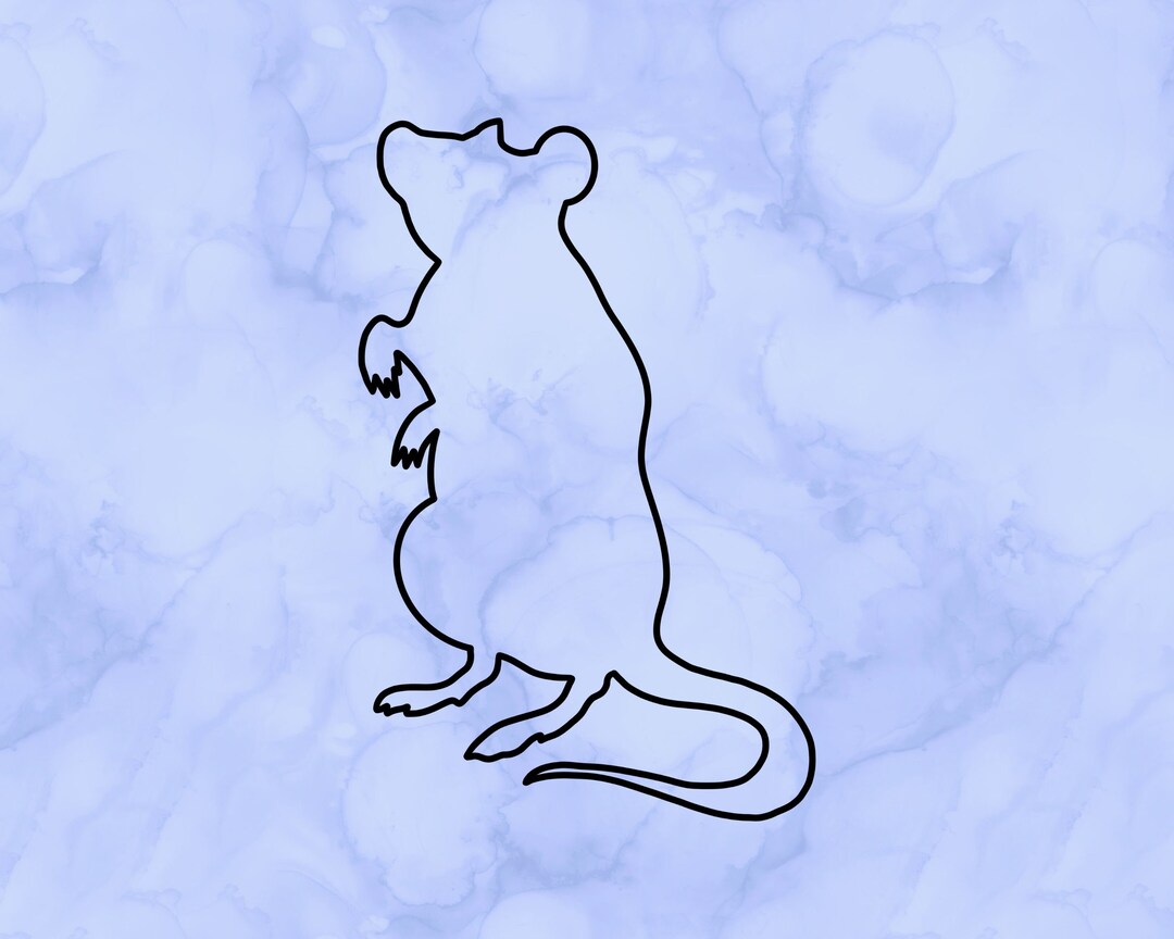 Rat Outline Decal - Etsy